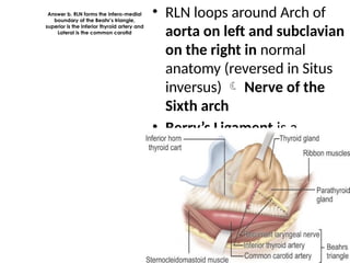 New Microsoft Office PowerPoint Presentation.pptx