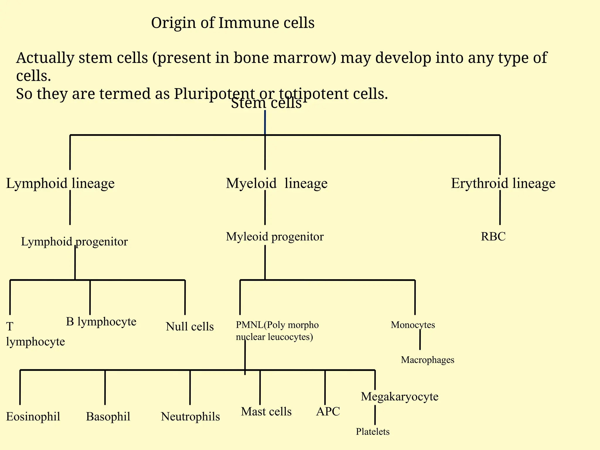 Microsoft Office PowerPoint Presentation | PPTX
