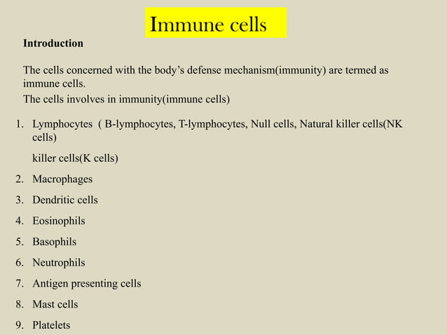 Microsoft Office PowerPoint Presentation | PPTX