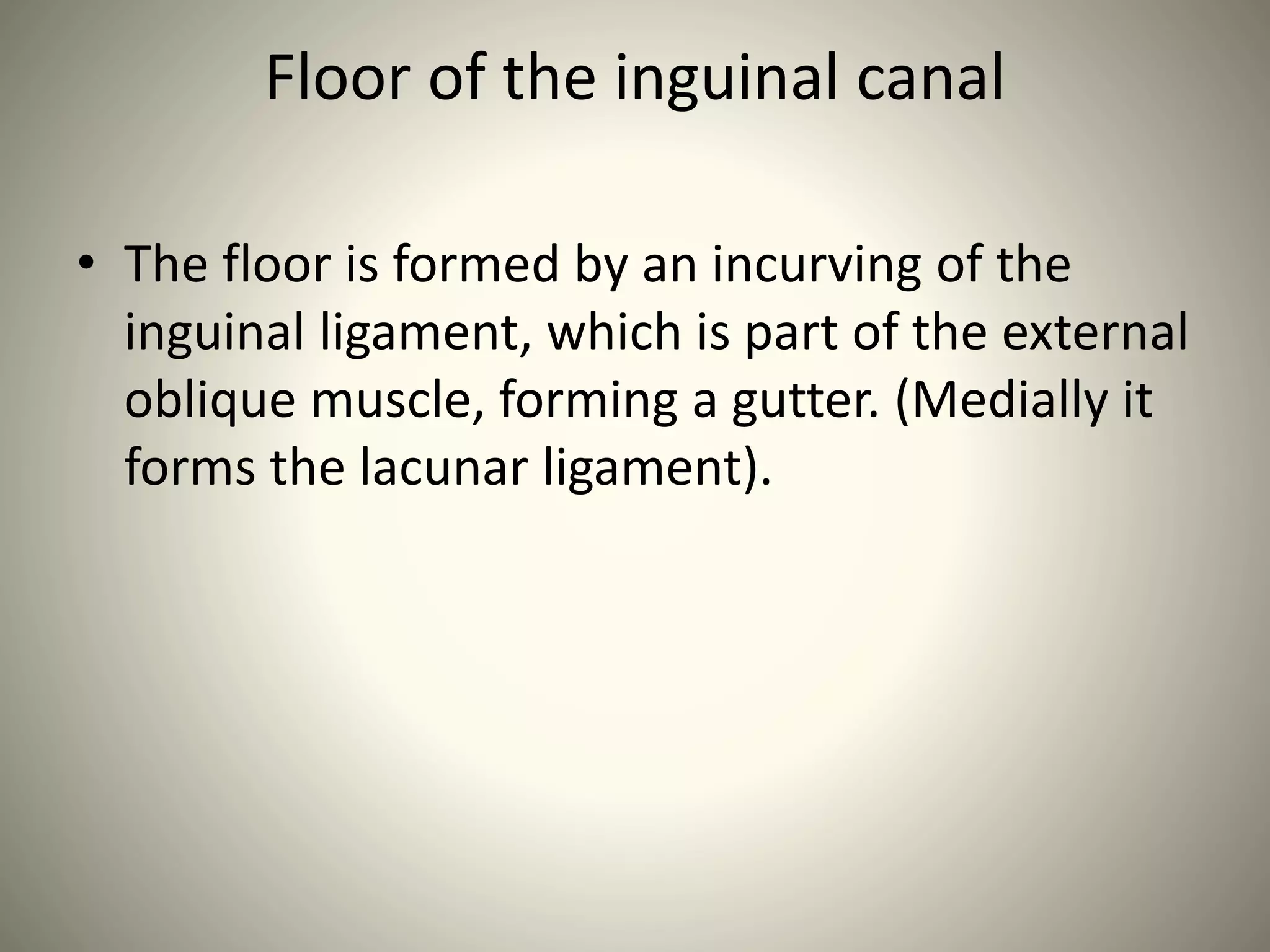 inguinal hernia anatomy | PPTX