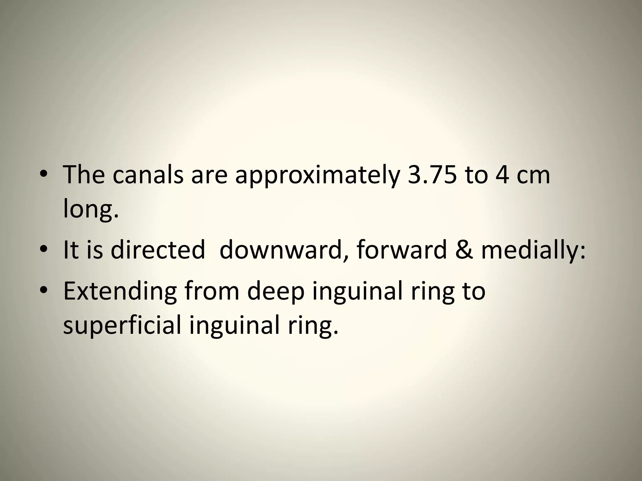inguinal hernia anatomy | PPTX