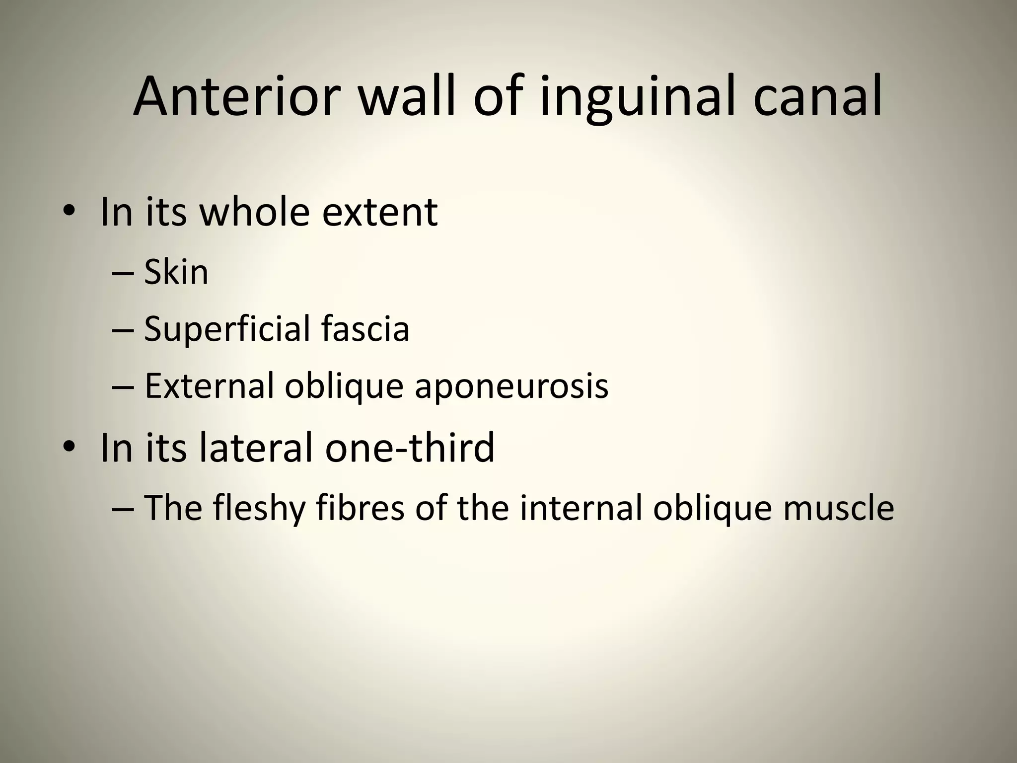 inguinal hernia anatomy | PPTX