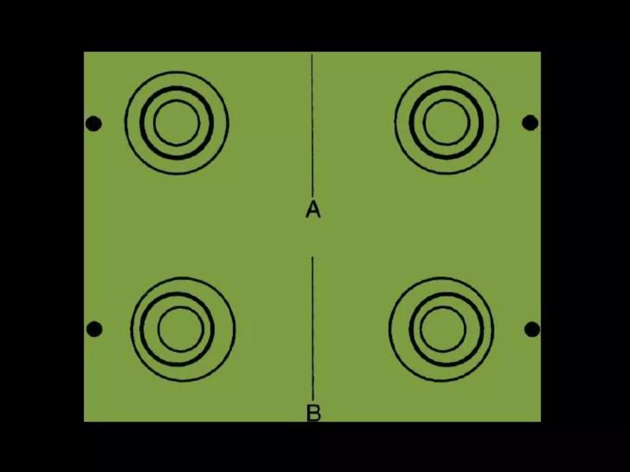 stereopsis history ,uses and charts | PPTX