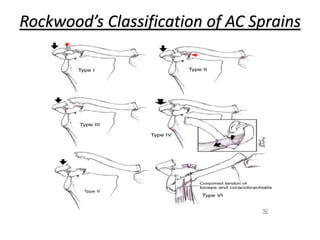 applied anatomy of shoulder joint | PPTX