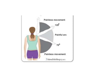 applied anatomy of shoulder joint | PPTX