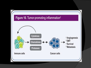 Hall marks of Cancer | PPTX