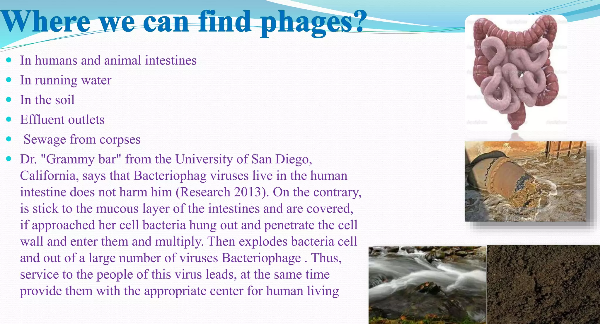 phage application in food safety | PPTX
