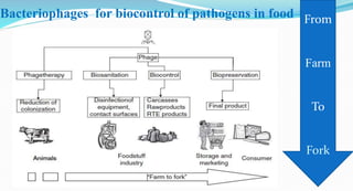 phage application in food safety | PPTX