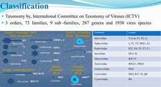 phage application in food safety | PPTX