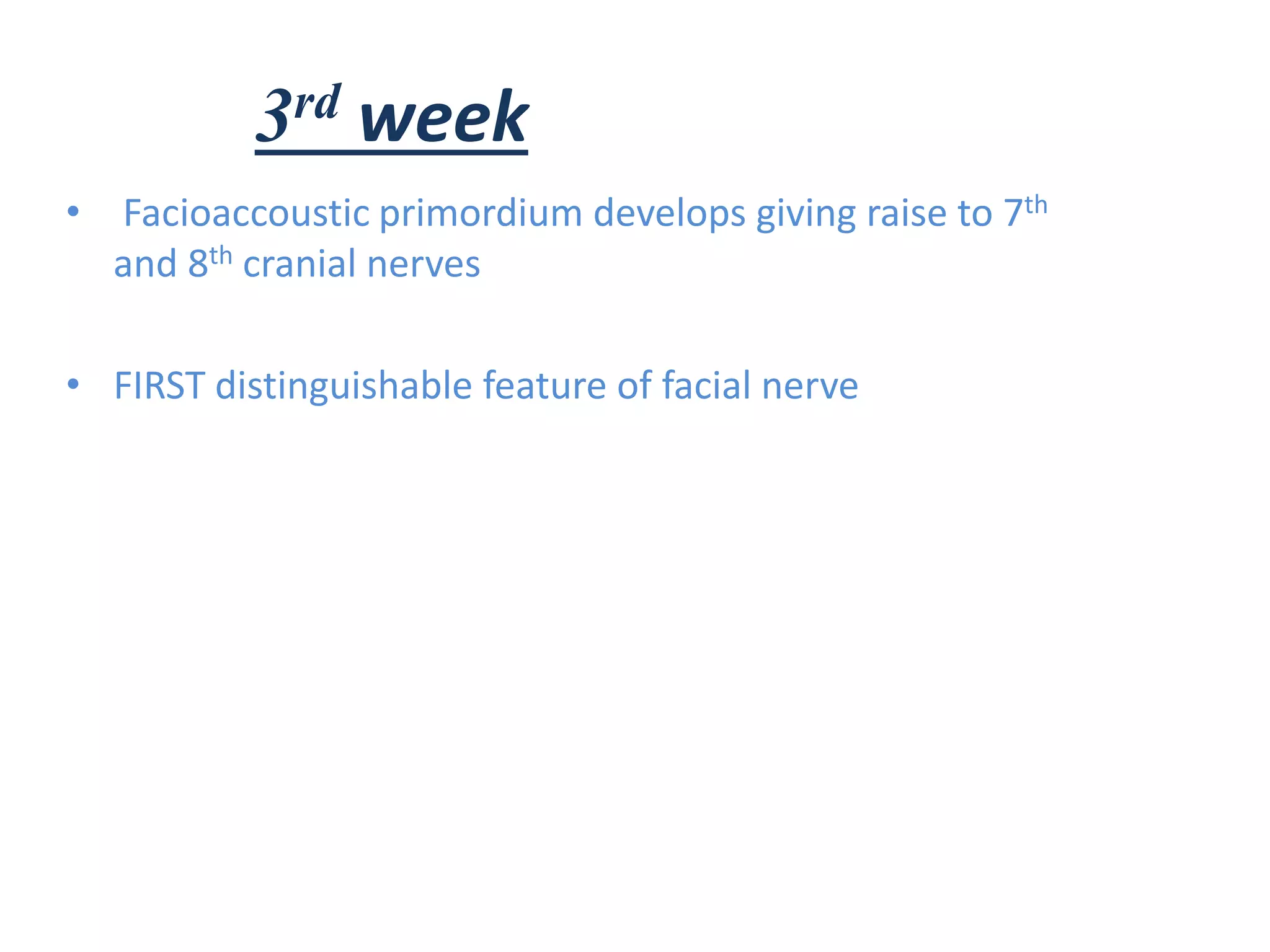 facial nerve:neuroanatomy | PPTX