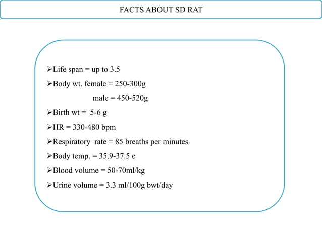 ABOUT SD RAT | PPTX | Lung and Respiratory Health | Diseases and Conditions