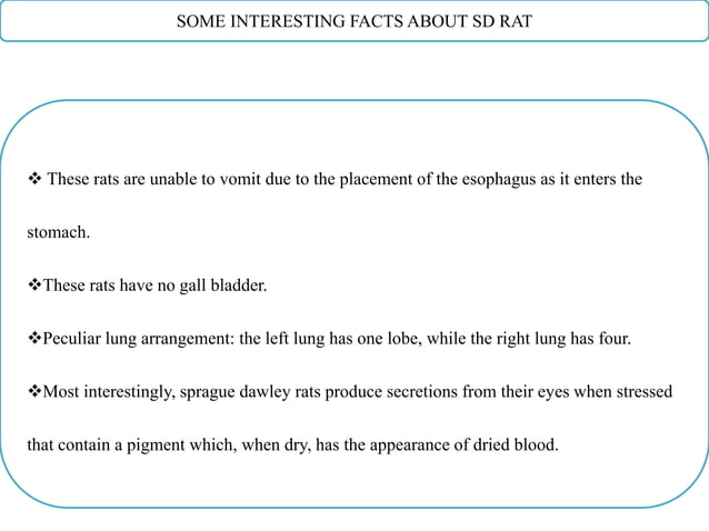 ABOUT SD RAT | PPTX | Lung and Respiratory Health | Diseases and Conditions