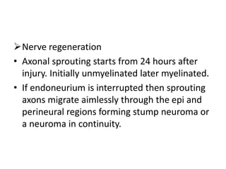 power point presentation on nerve injury introduction by clinical ...