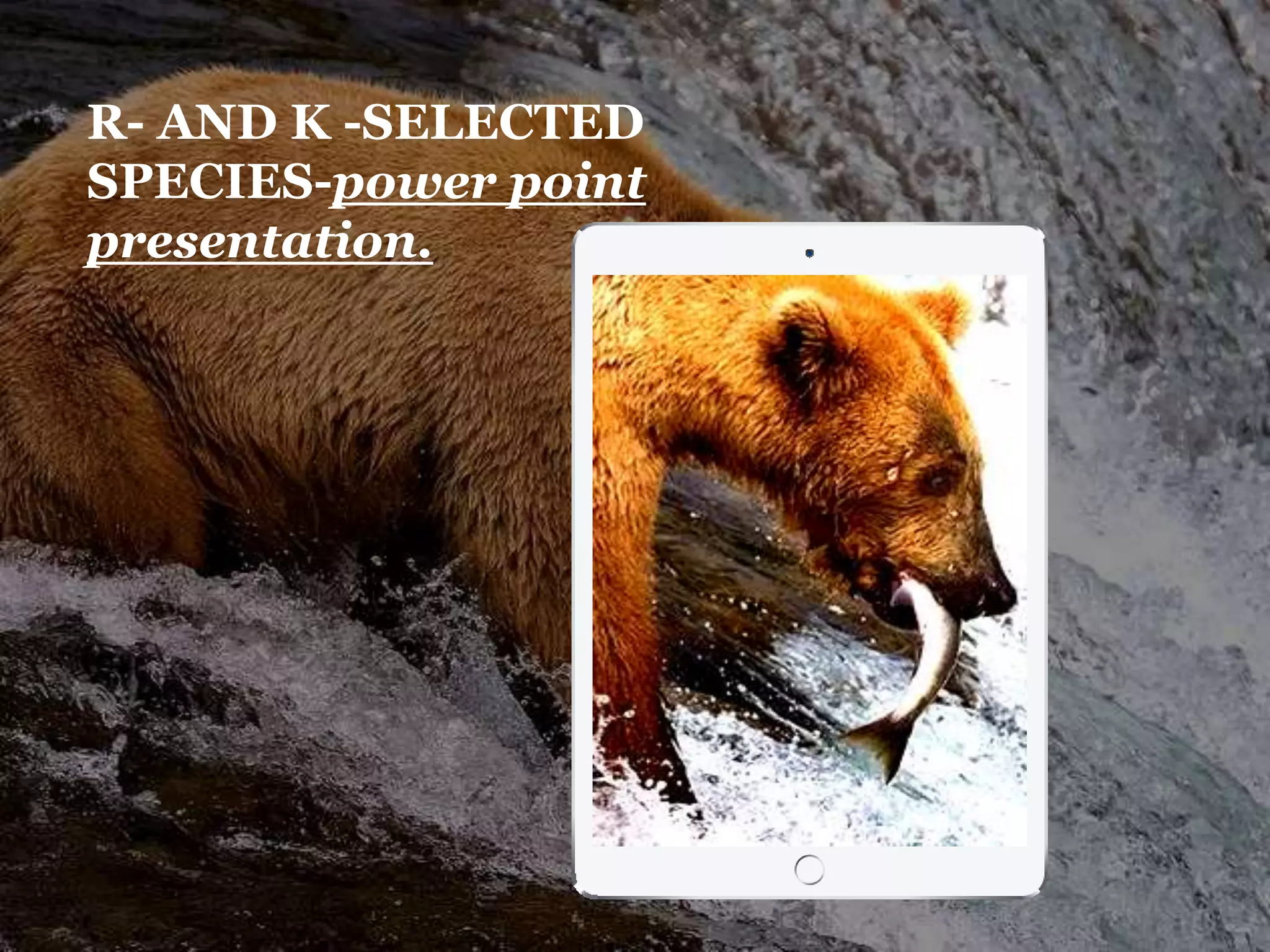 R AND K SELECTED SPECIES powerpoint presentation | PPTX