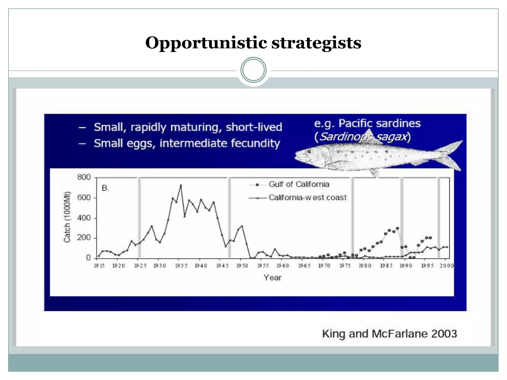 R AND K SELECTED SPECIES powerpoint presentation | PPTX