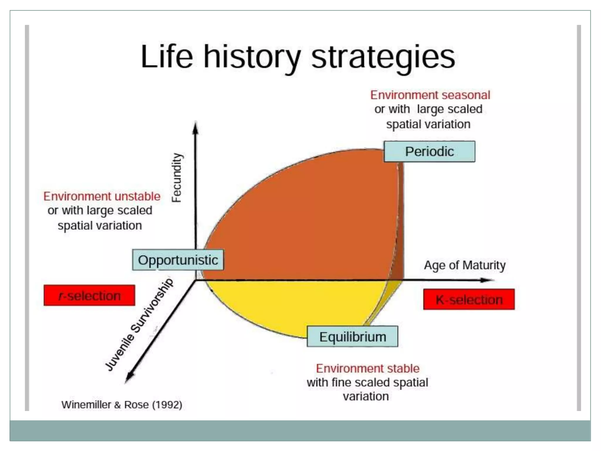 R AND K SELECTED SPECIES powerpoint presentation | PPTX