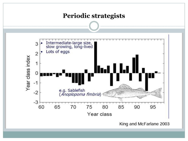 R AND K SELECTED SPECIES powerpoint presentation | PPTX