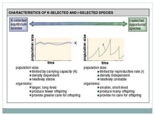 R AND K SELECTED SPECIES powerpoint presentation | PPTX
