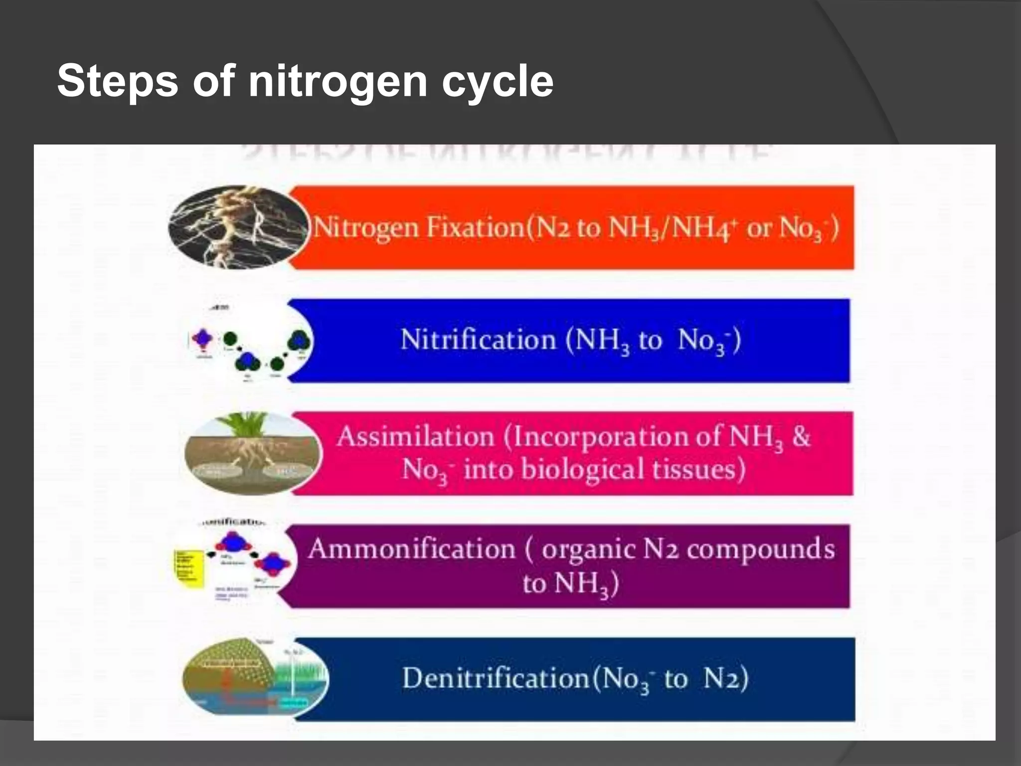 nutrient cycles powerpoint presentation | PPTX
