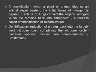 nutrient cycles powerpoint presentation | PPTX