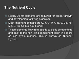 nutrient cycles powerpoint presentation | PPTX