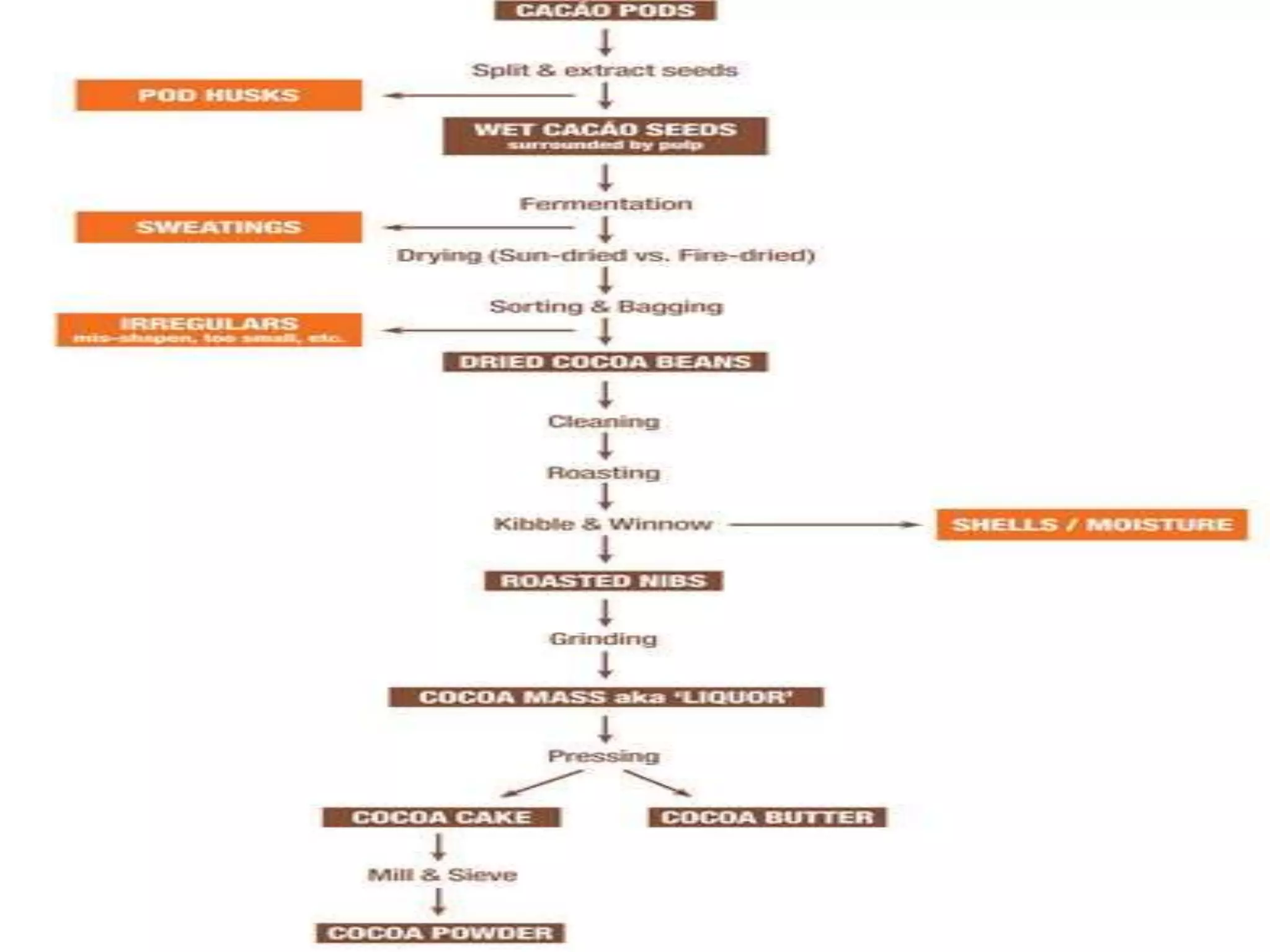 Production Processing And Packaging Of Cocoa Pptx Food And Drink