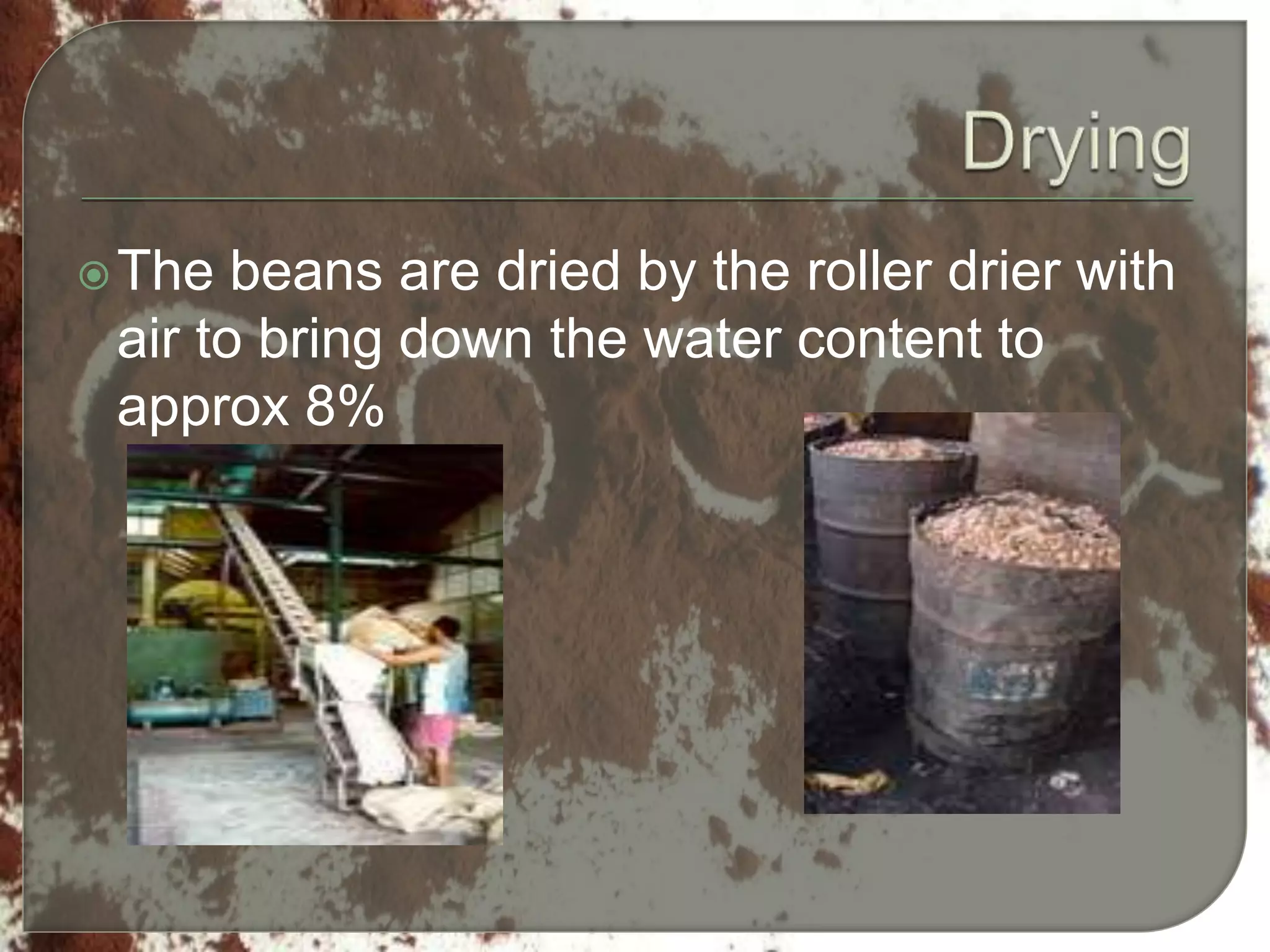 Production Processing And Packaging Of Cocoa Pptx Food And Drink