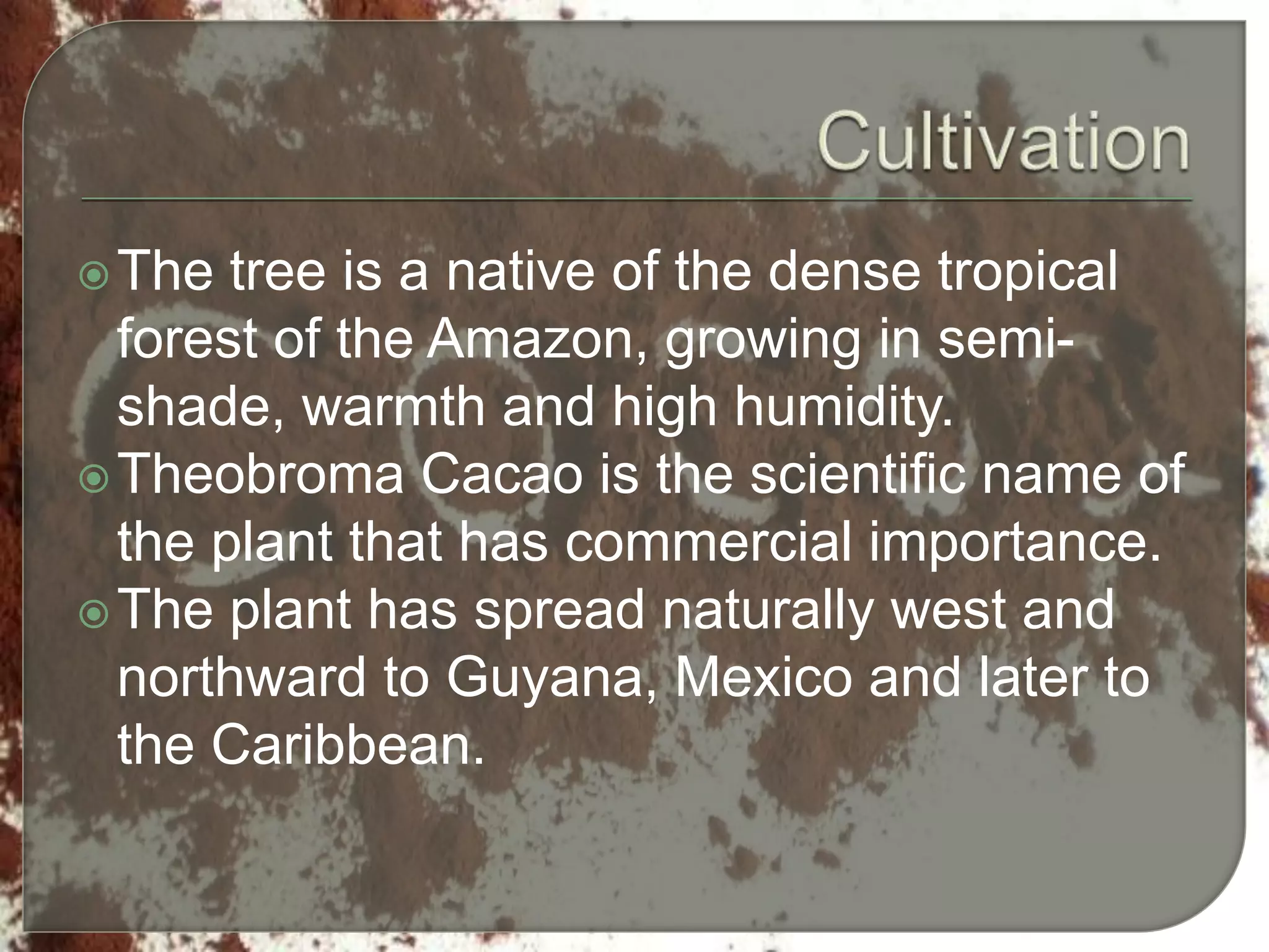 Production Processing And Packaging Of Cocoa Pptx Food And Drink