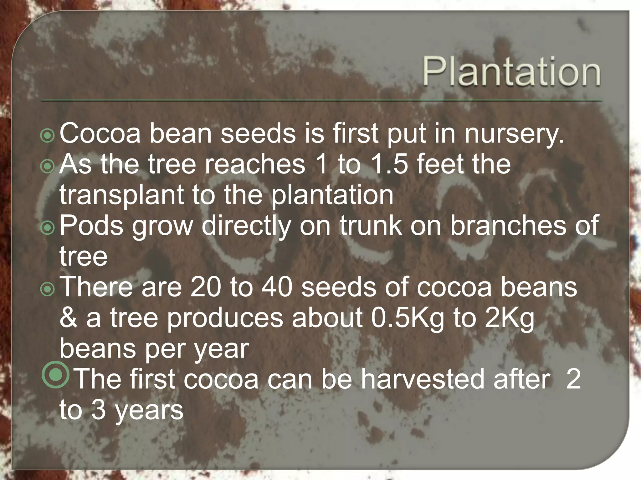 Production Processing And Packaging Of Cocoa Pptx Food And Drink