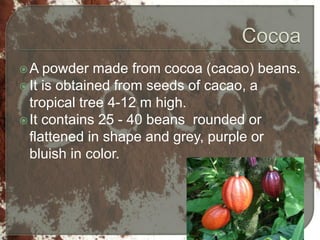 Production,Processing and packaging of Cocoa | PPTX