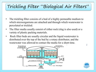 BIOLOGICAL TREATMENT OF SEWAGE AND INDUSTRIA WASTE | PPTX