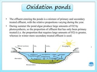 BIOLOGICAL TREATMENT OF SEWAGE AND INDUSTRIA WASTE | PPT