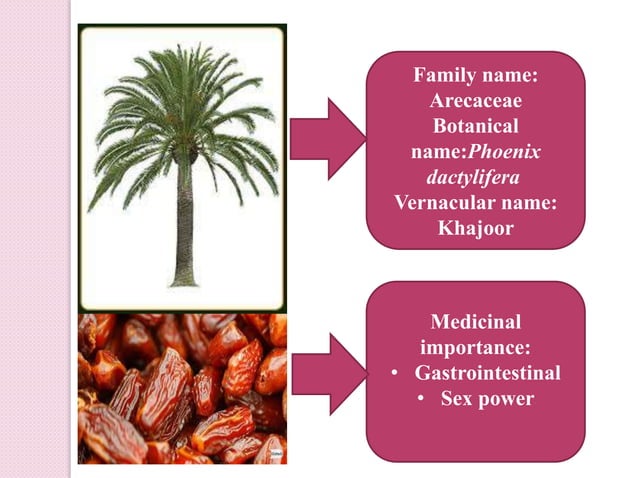 Ethnobotany, history of ethnobotany, aims and objective of ethnobotany ...