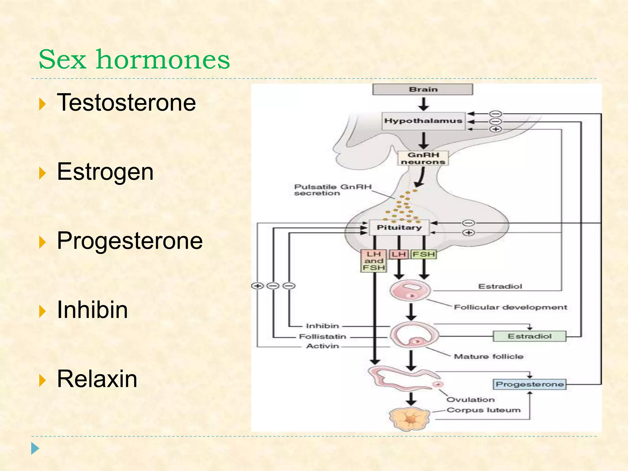 sex hormones pharmacology | PPTX | Pregnancy | Reproductive Health