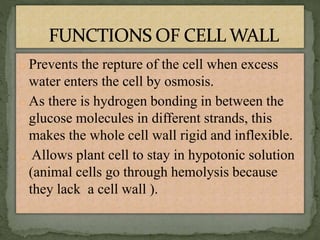 Structure and physiological functions of cell wall | PPT