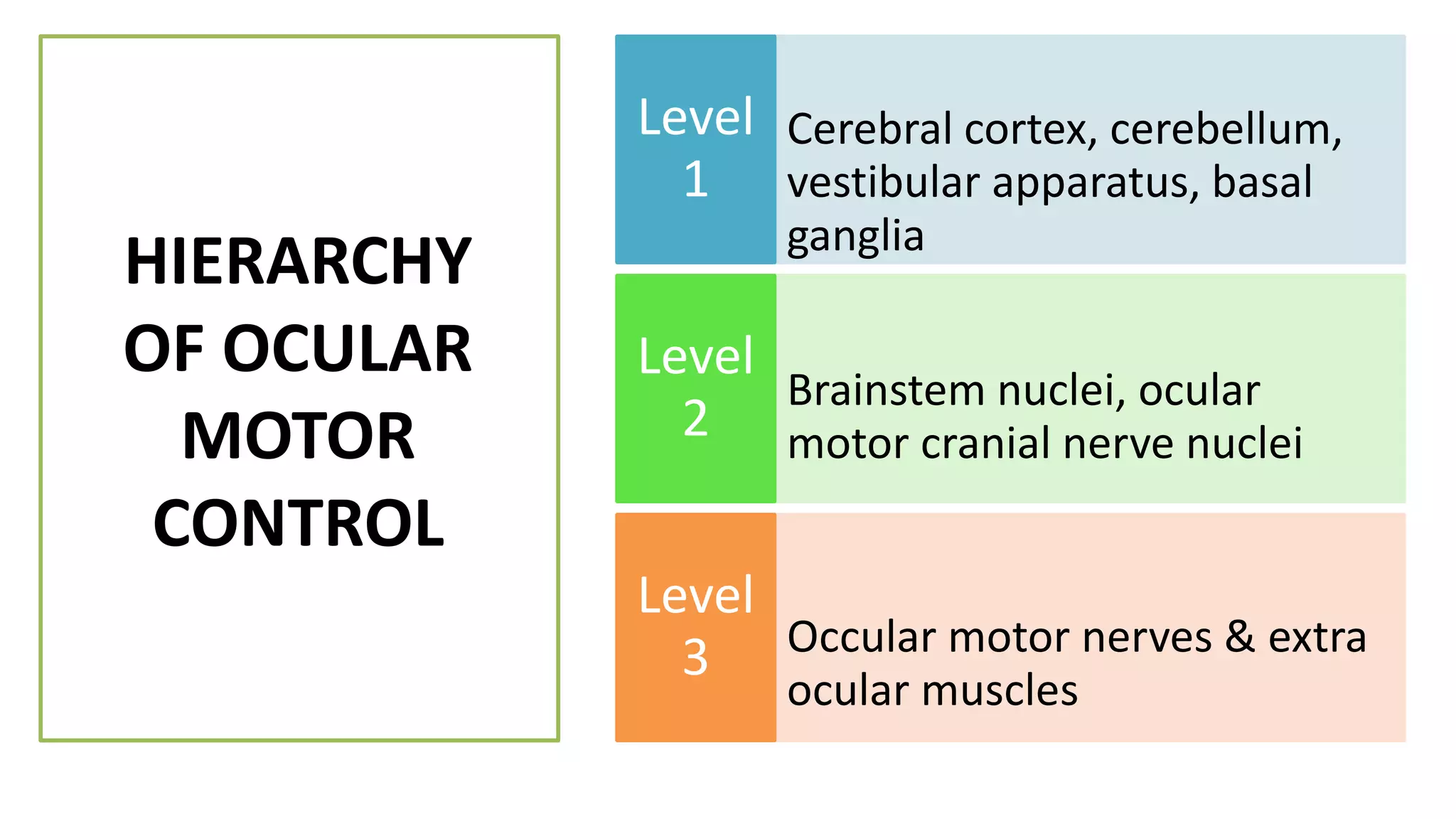 Supranuclear disorders of ocular motility | PPTX