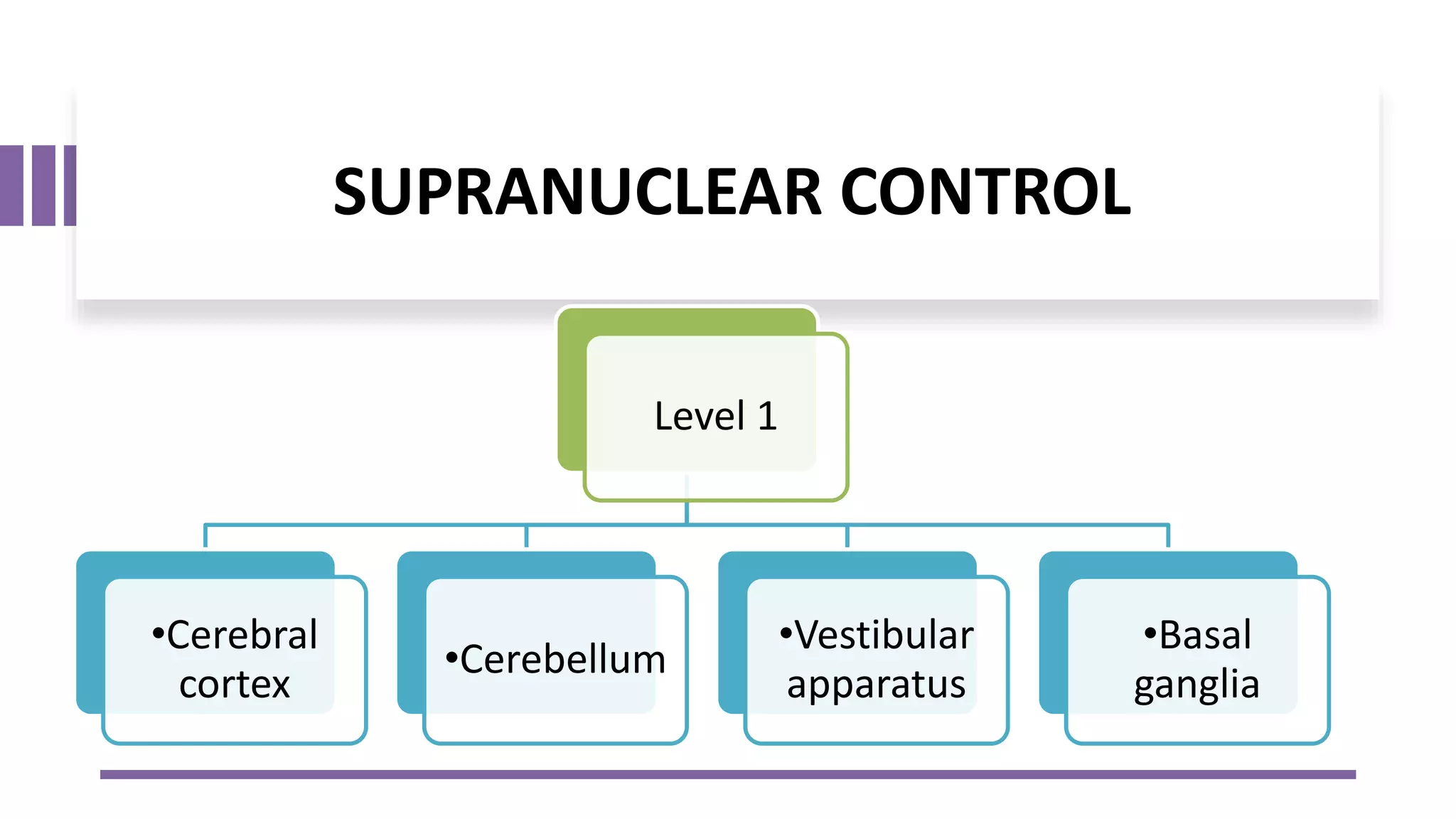 Supranuclear disorders of ocular motility | PPTX