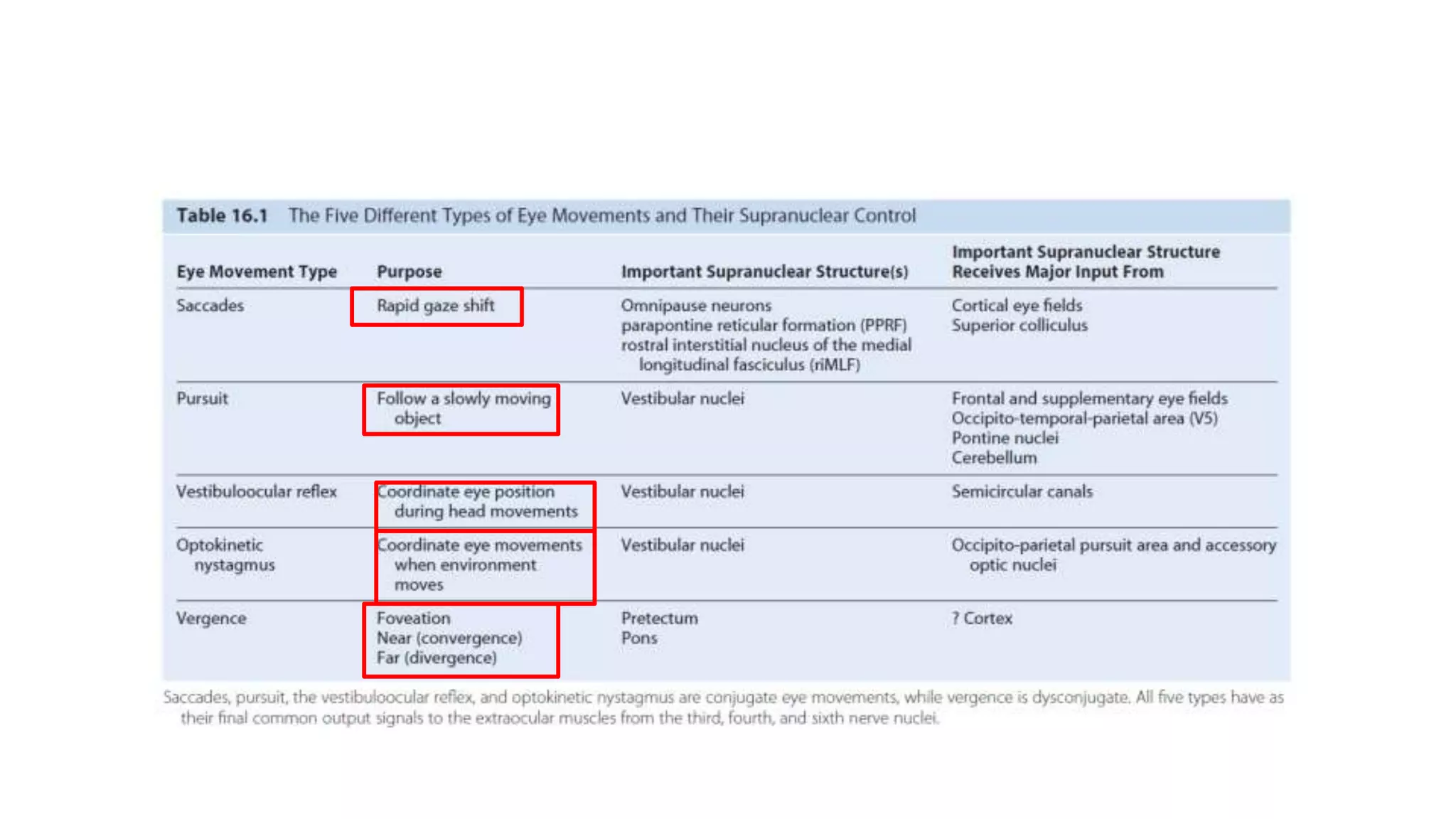 Supranuclear disorders of ocular motility | PPTX