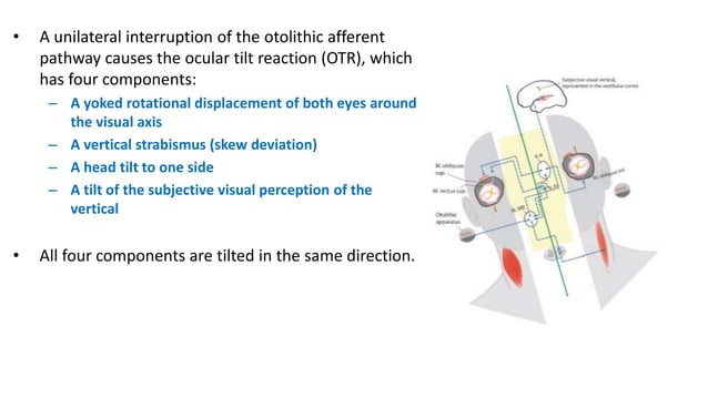 Supranuclear disorders of ocular motility | PPT