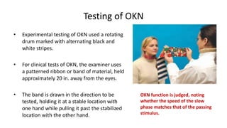 Supranuclear disorders of ocular motility | PPTX