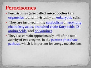 peroxisomal disorder | PPTX