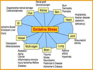 Anti-Oxidant activity in Natural Products | PPTX