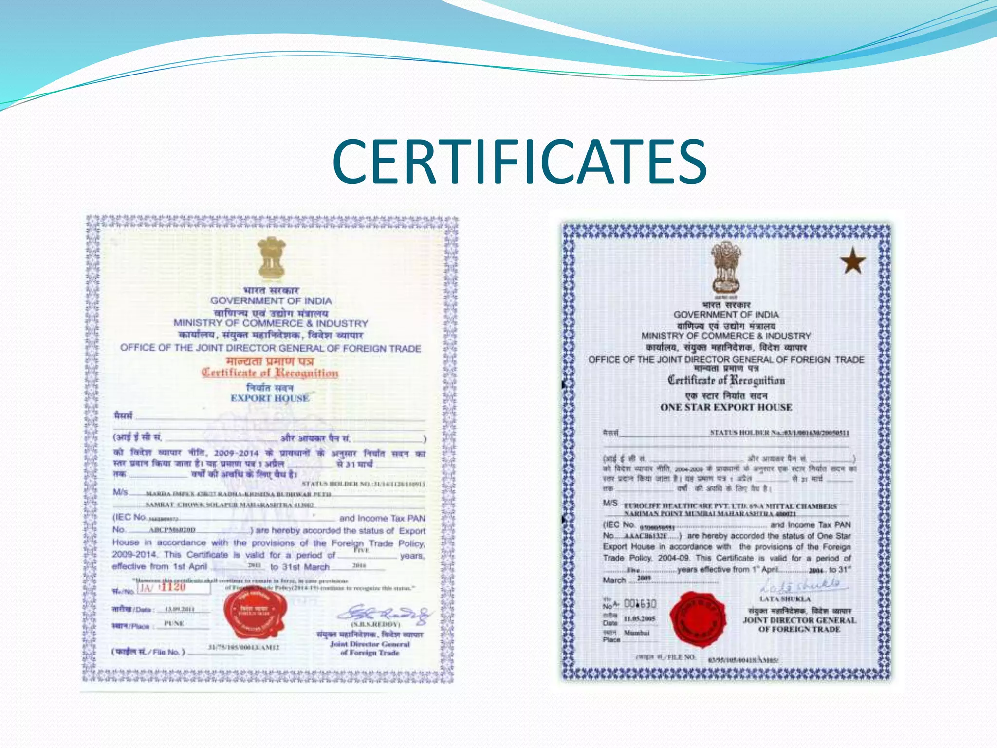 Meaning of Export House | PPTX