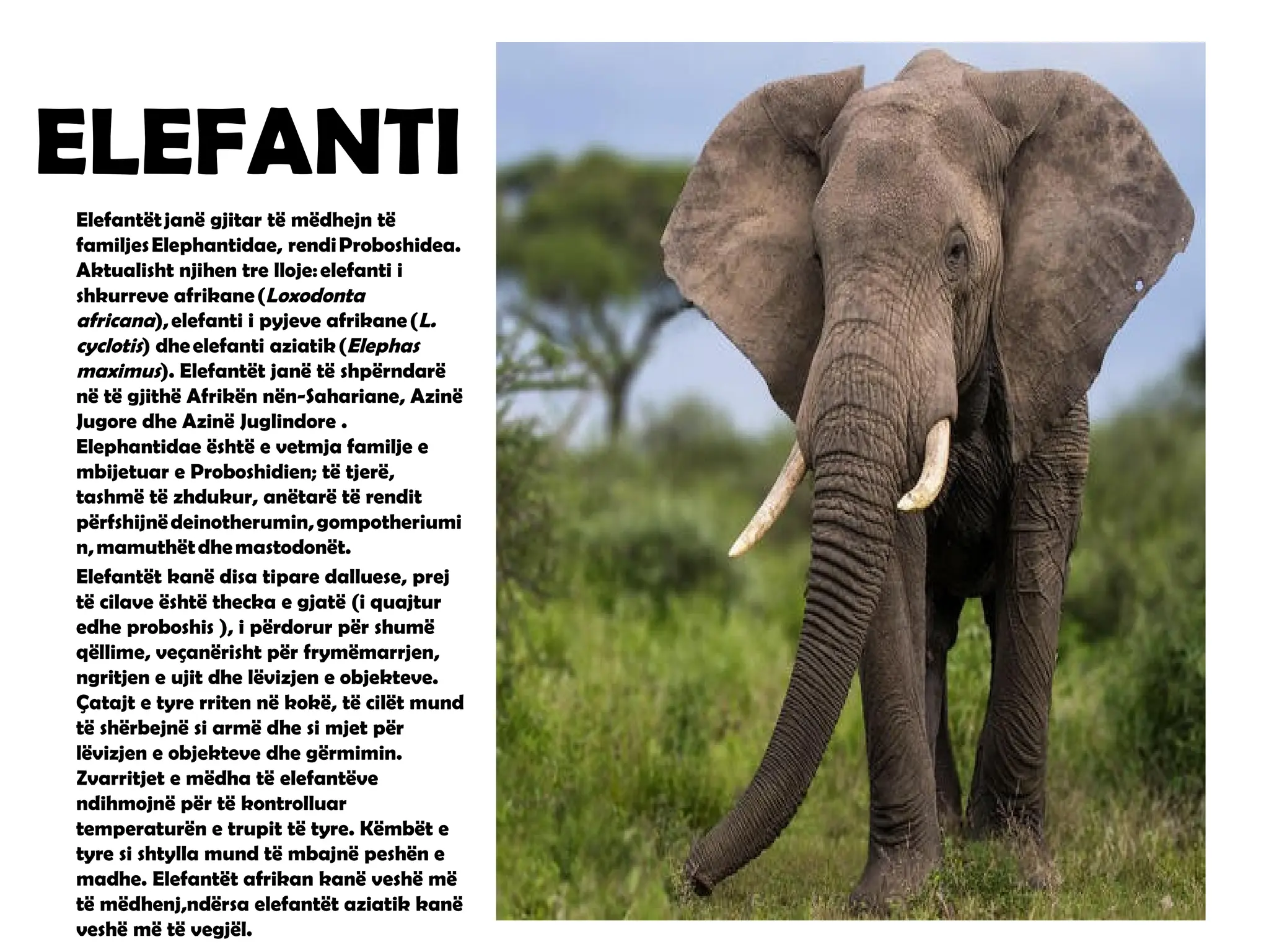 New Microsoft Office PowerPoint Presentation (3).pptx