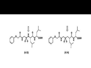 RATIONAL DRUG DESIGN.pptx