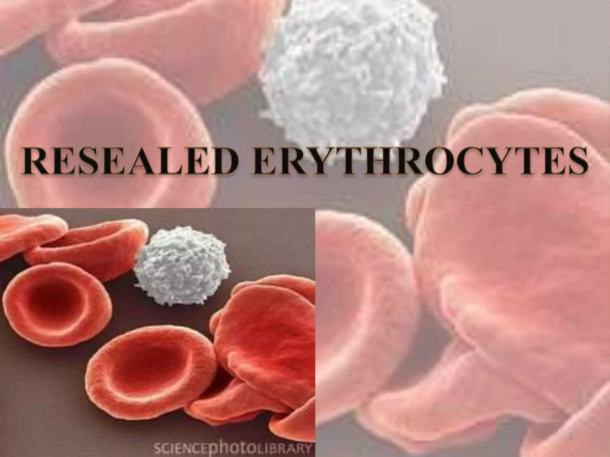 Resealed erythrocytes | PPTX