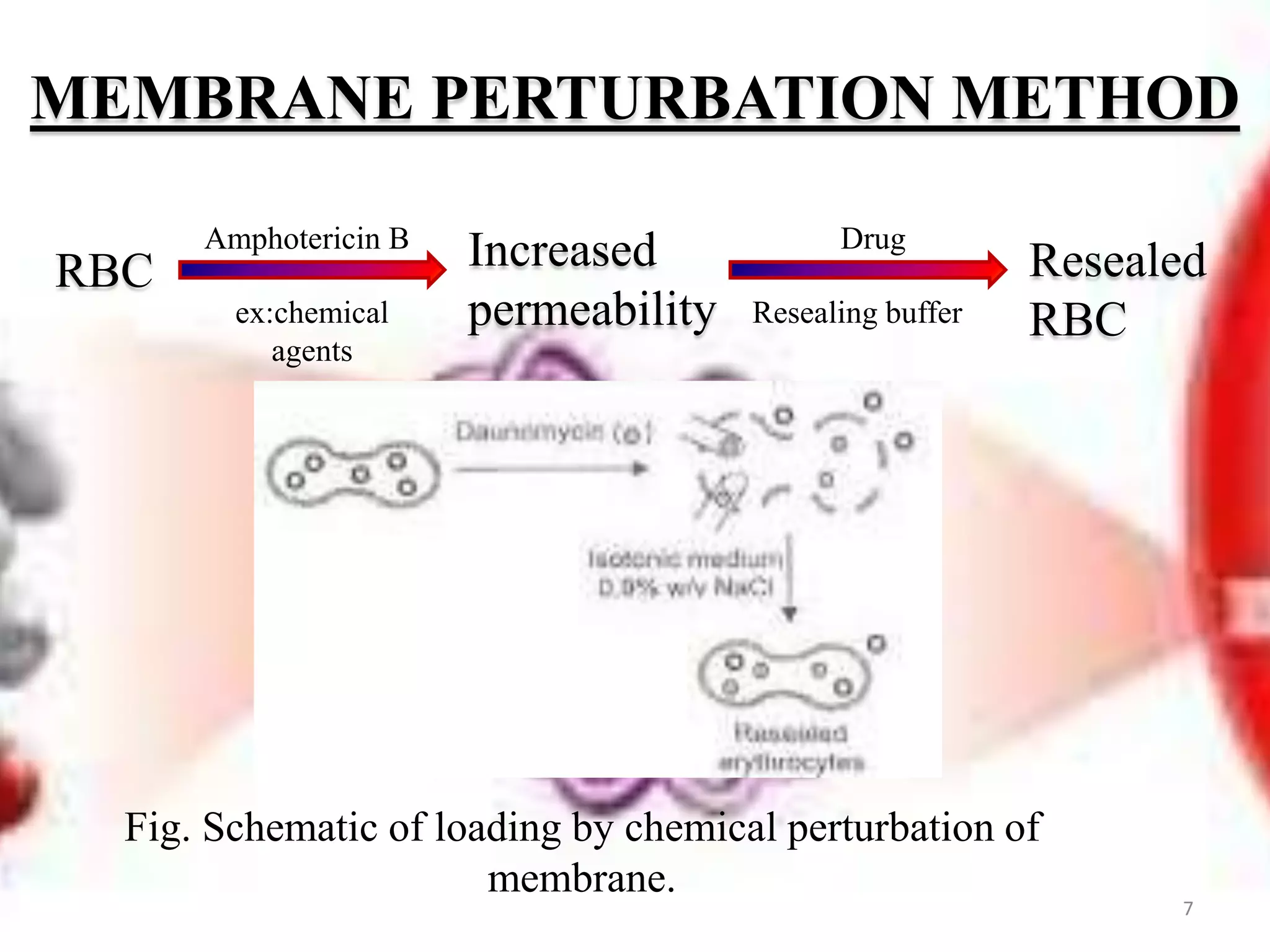 Resealed erythrocytes | PPTX