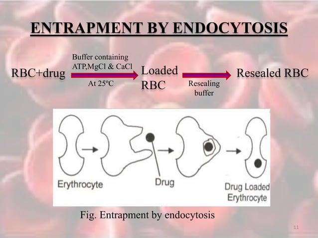 Resealed erythrocytes | PPTX