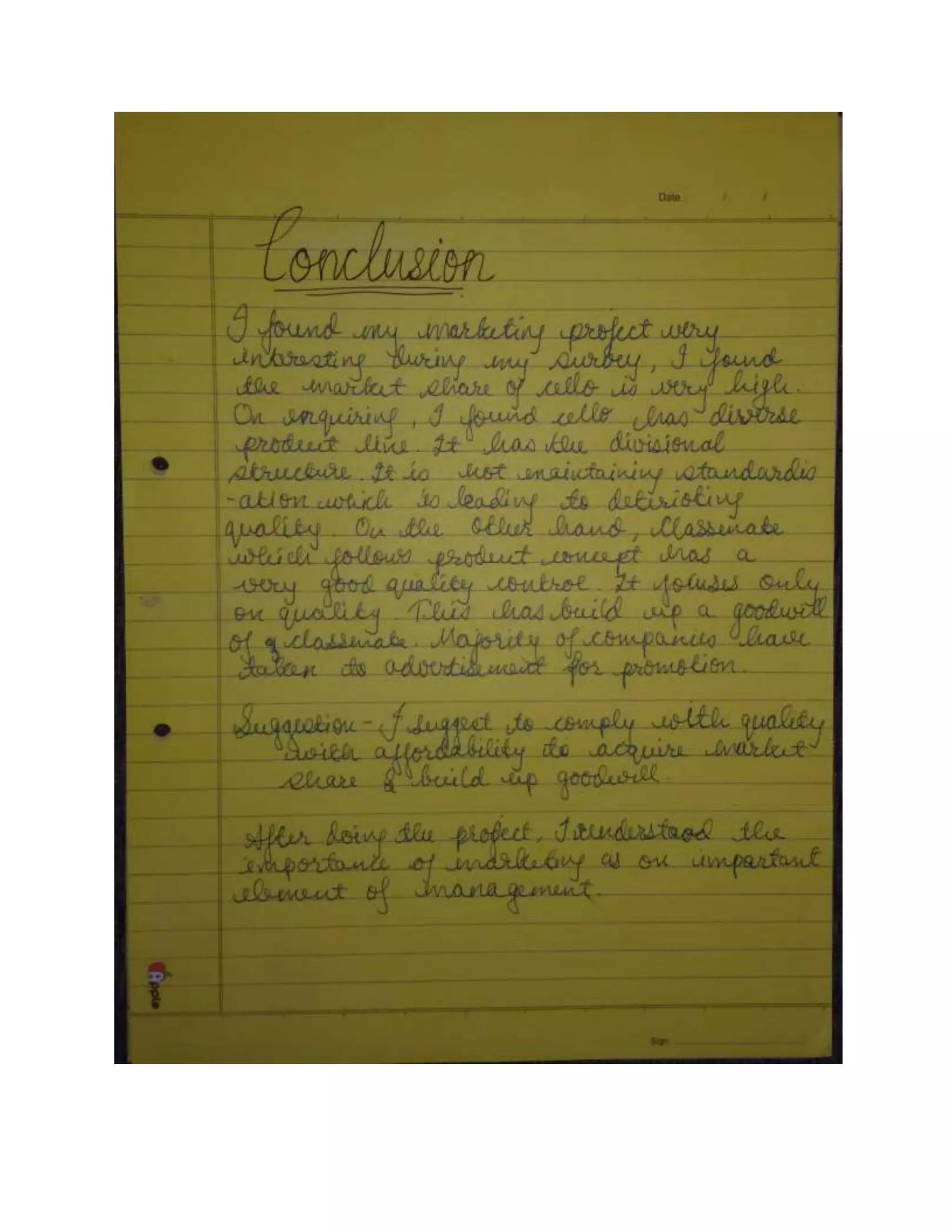 Marketing Project on Pen | DOCX