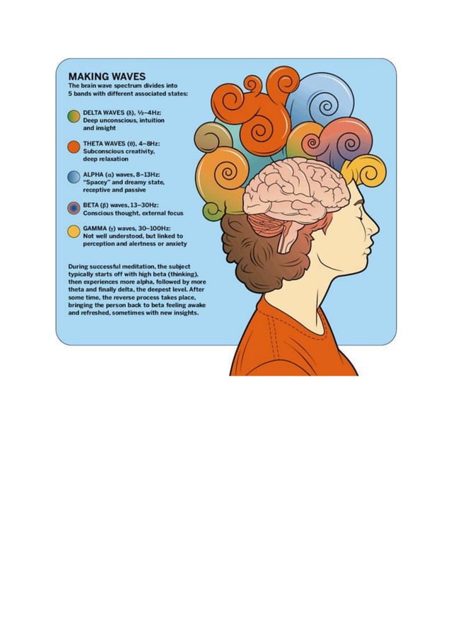Artificial neural networks decode brain activity | PDF